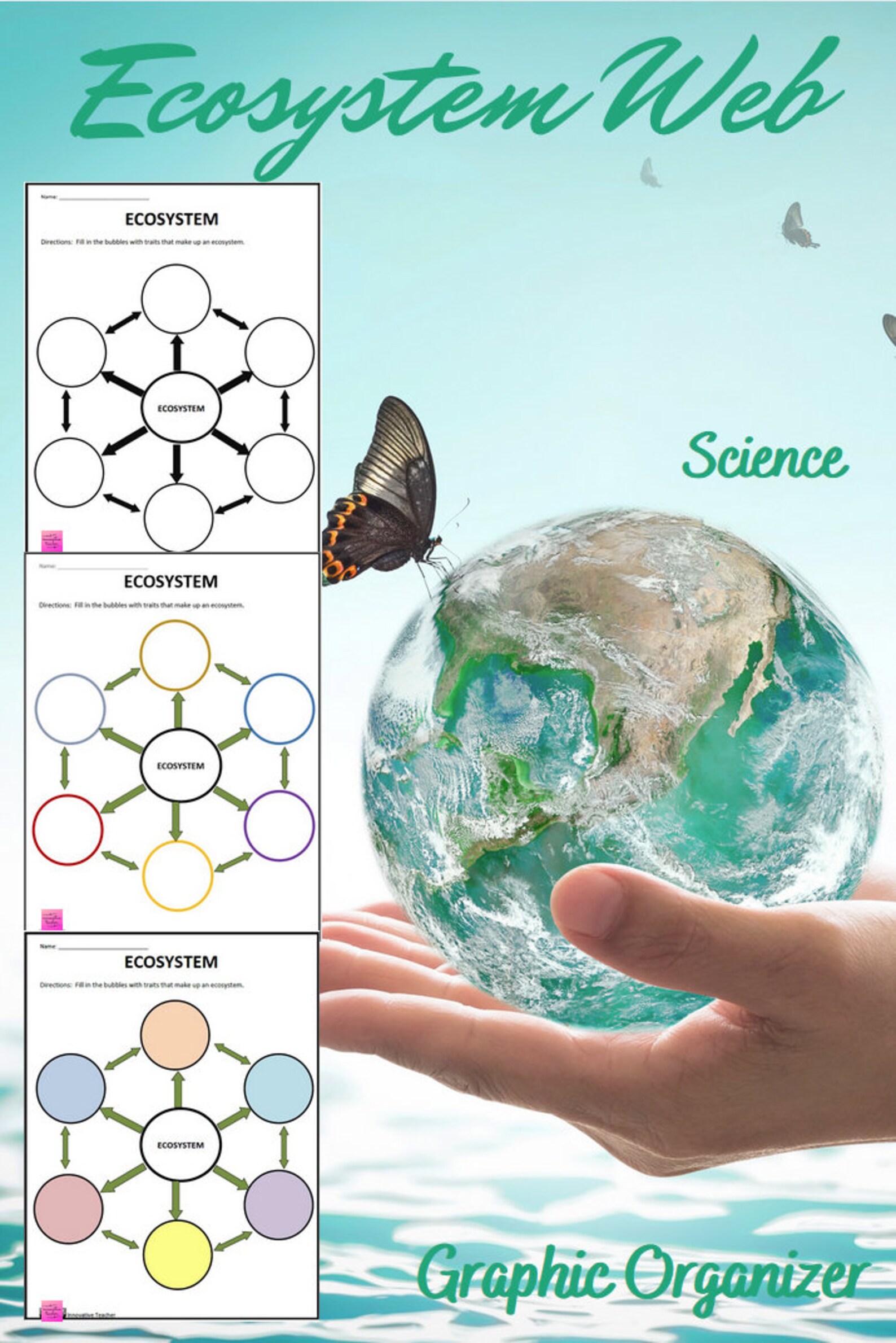 Ecosystems Web Graphic Organizer | Middles School Science - Etsy