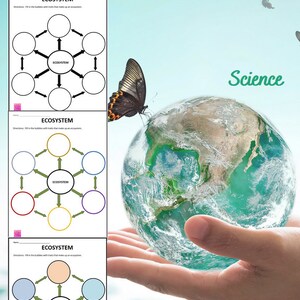 Ecosystems Web Graphic Organizer | Middles School Science - Etsy
