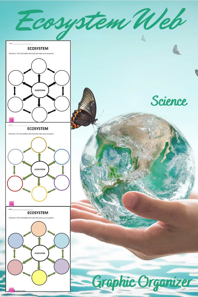 Ecosystems Web Graphic Organizer | Middles School Science - Etsy