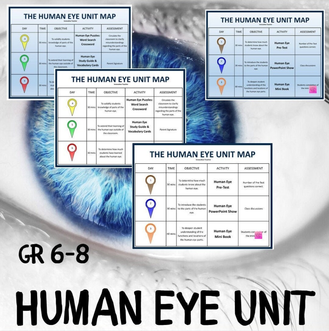 Human Eye Unit | Middle School Science - Etsy