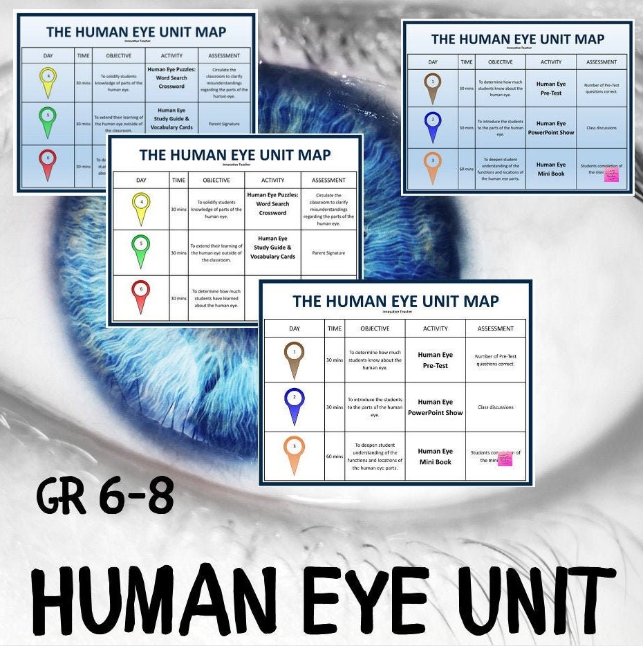 Human Eye Unit | Middle School Science - Etsy