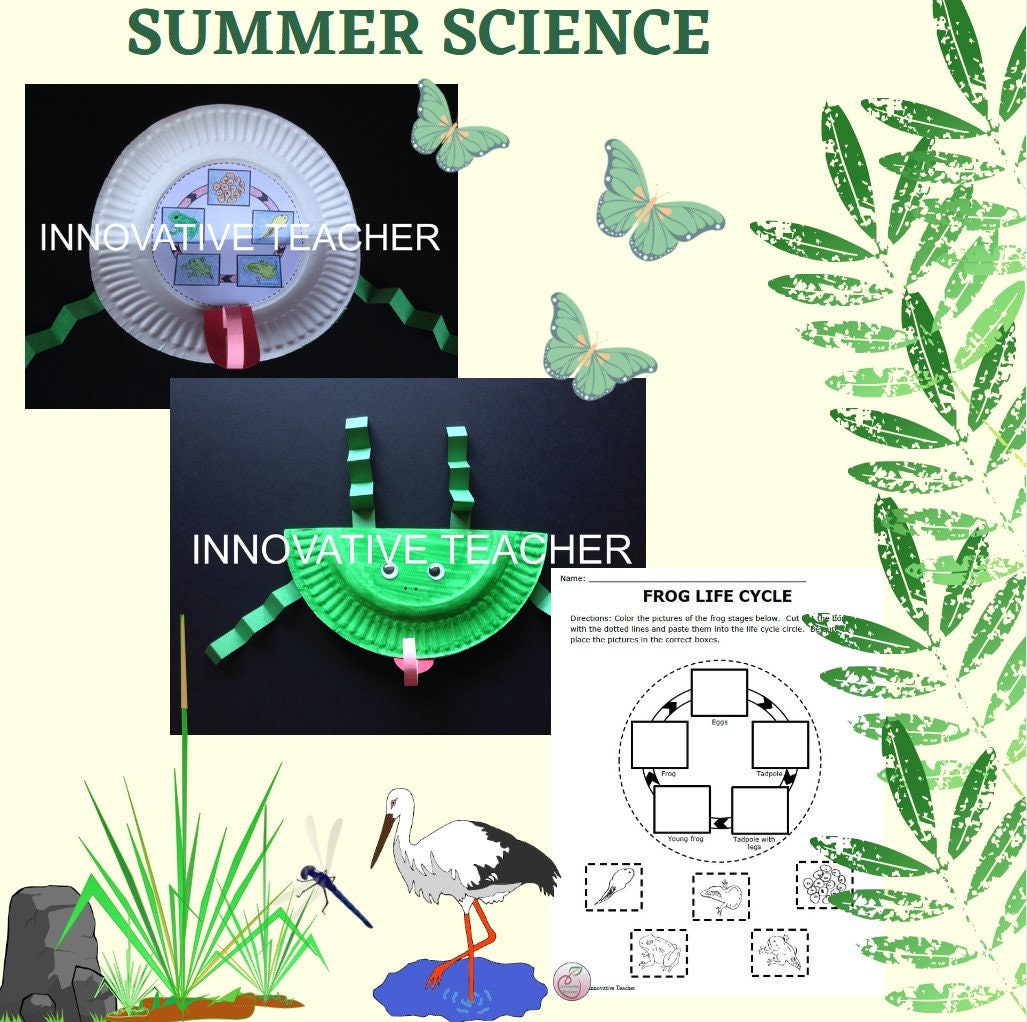Frog Life Cycle Activity and Craft - Etsy