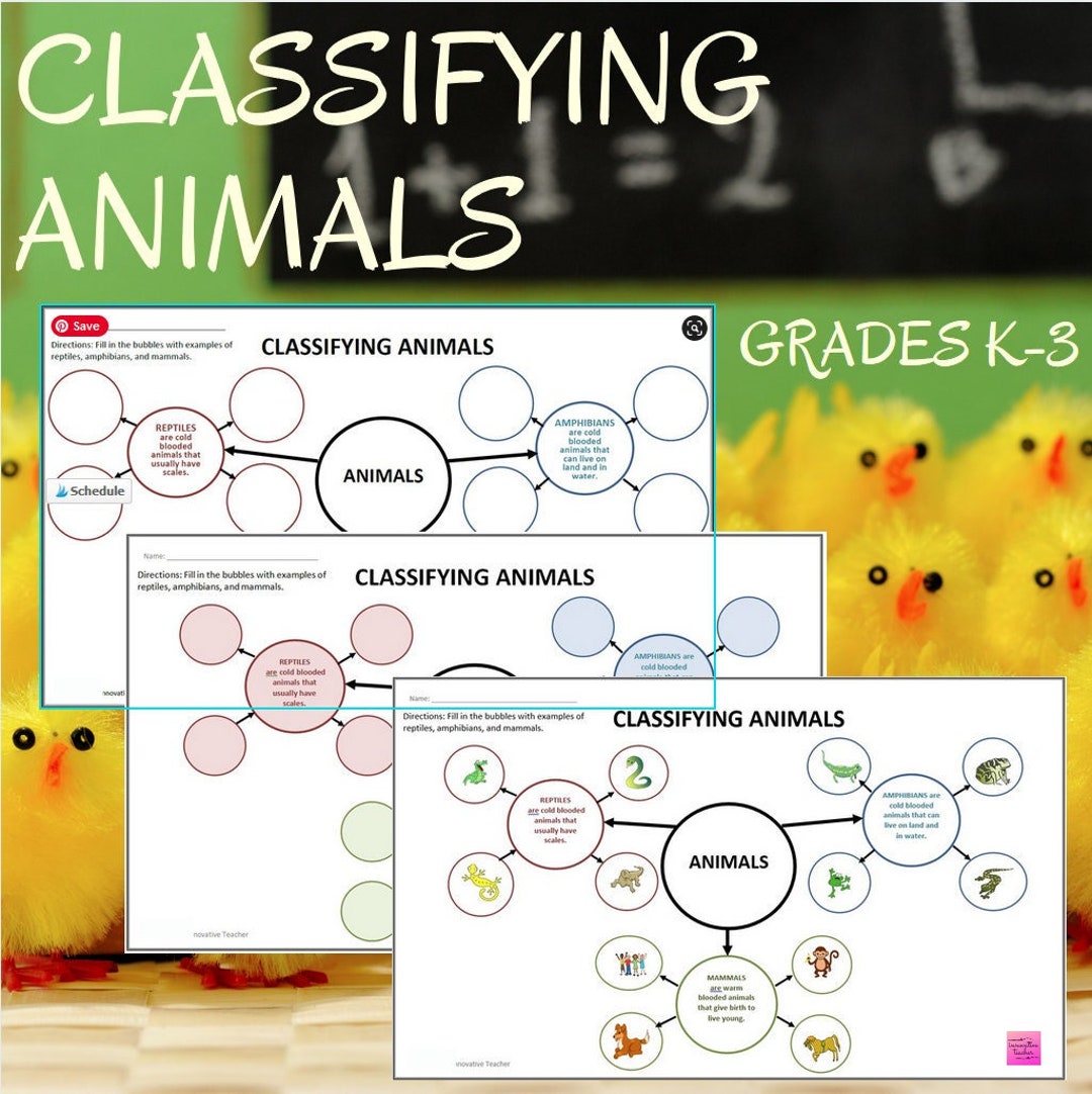 Classifying Animals Graphic Organizer - Etsy