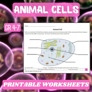 Plant and Animal Cell Science Worksheet - Etsy