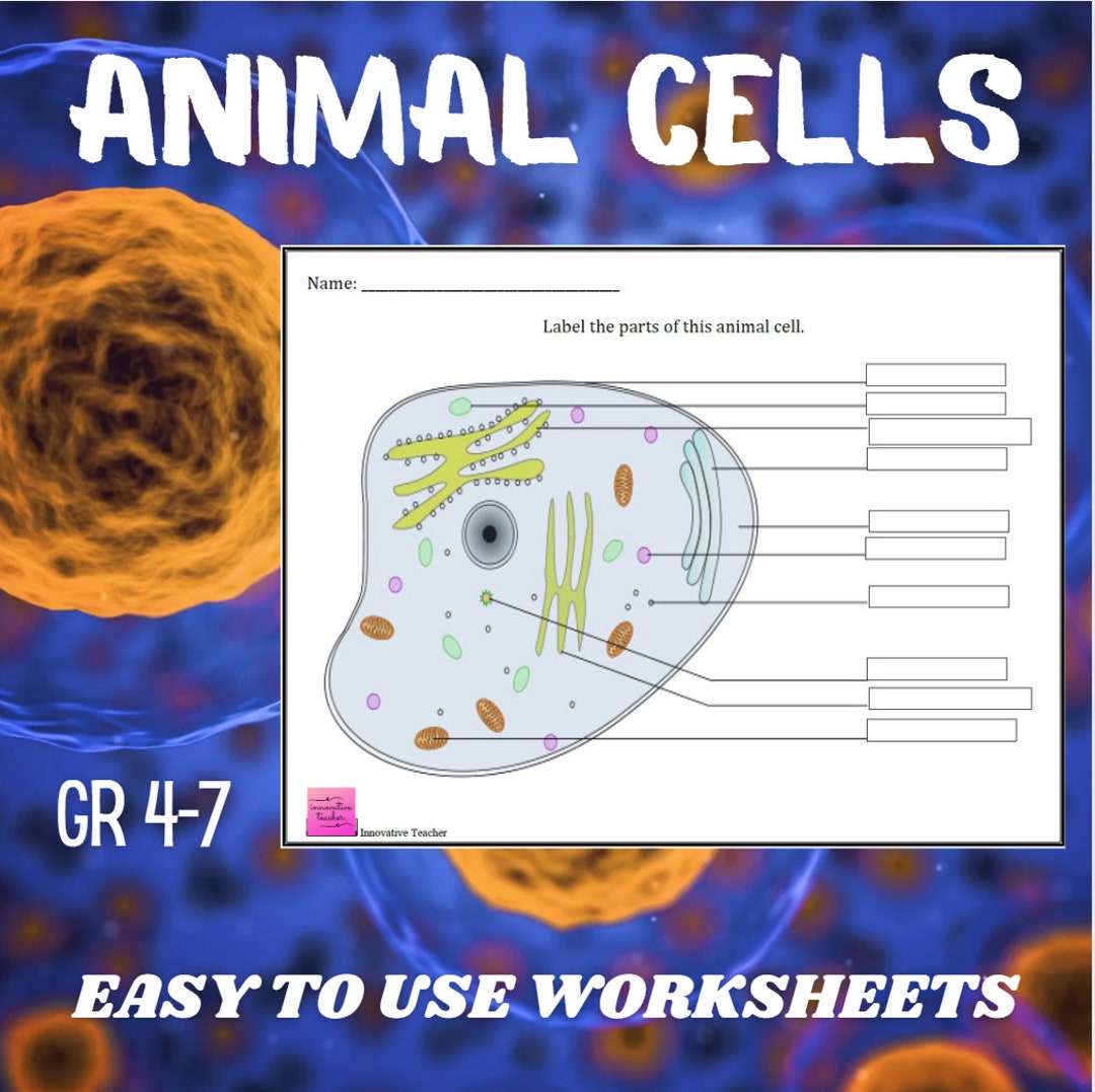 Animal Cell Science Worksheet - Etsy