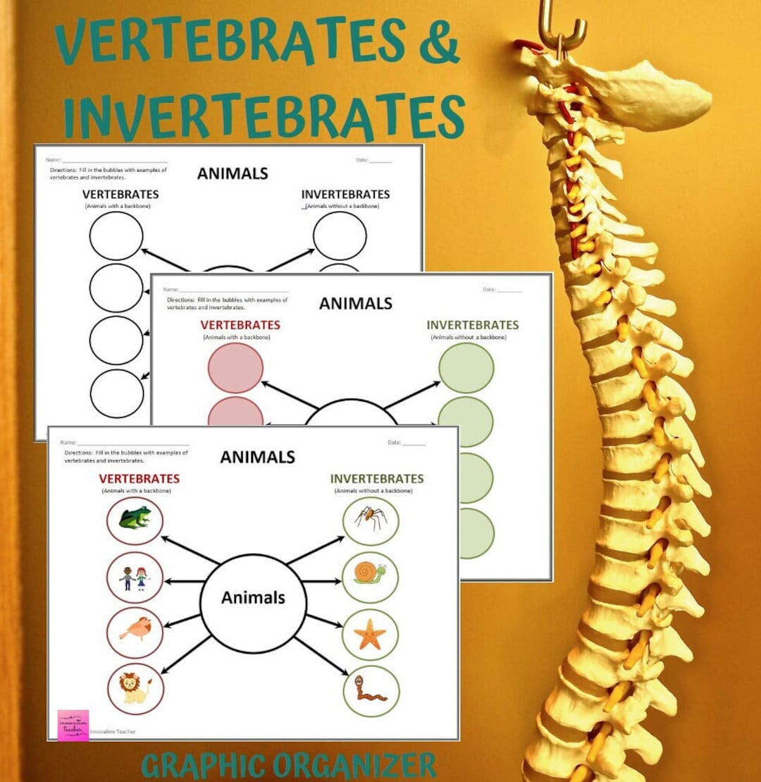 Vertebrates And Invertebrates Venn Diagram