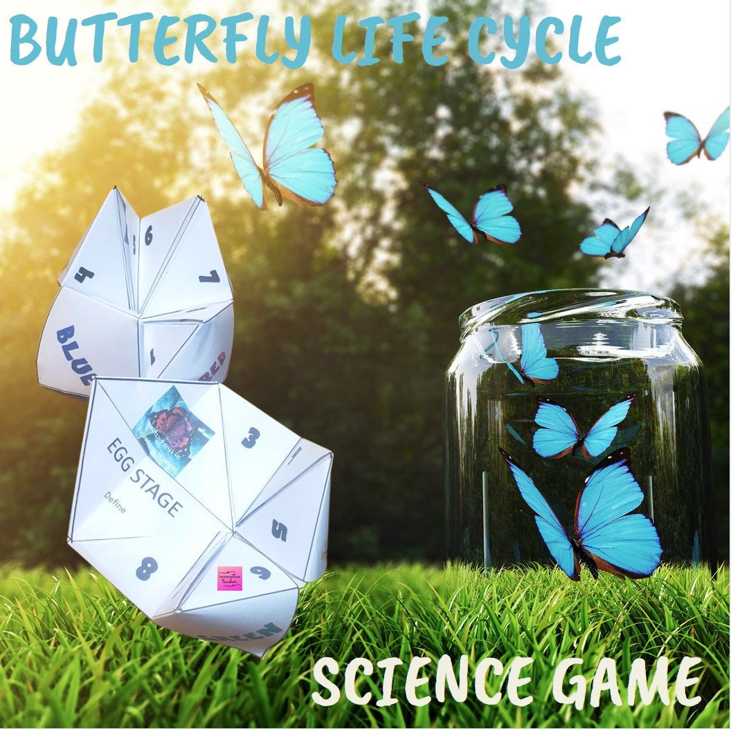 Butterfly Life Cycle Science Game - Etsy