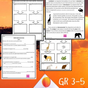 Grassland Ecosystem Science Diorama PBL - Etsy