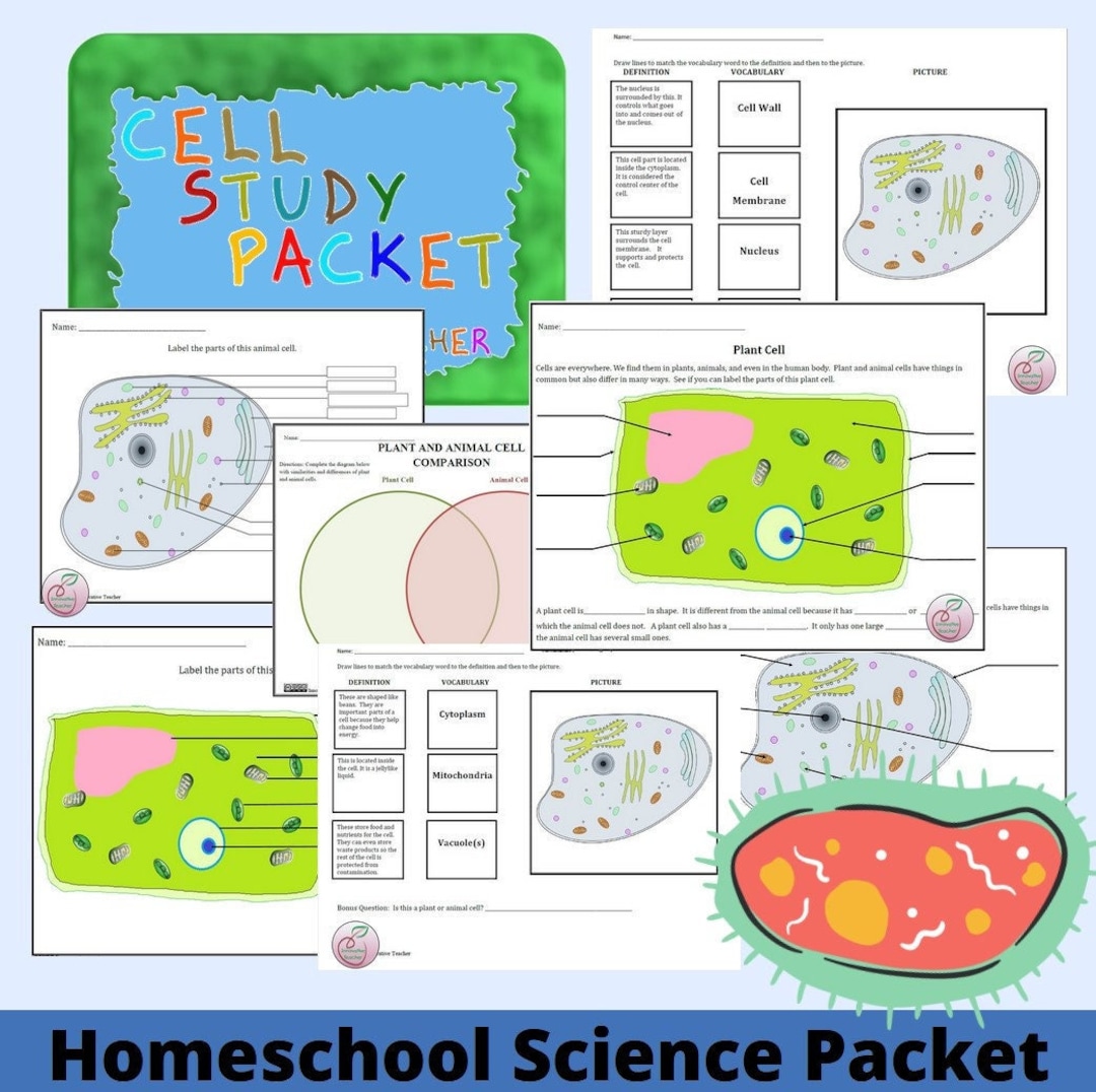 Plant and Animal Cell Study Science BUNDLE - Etsy