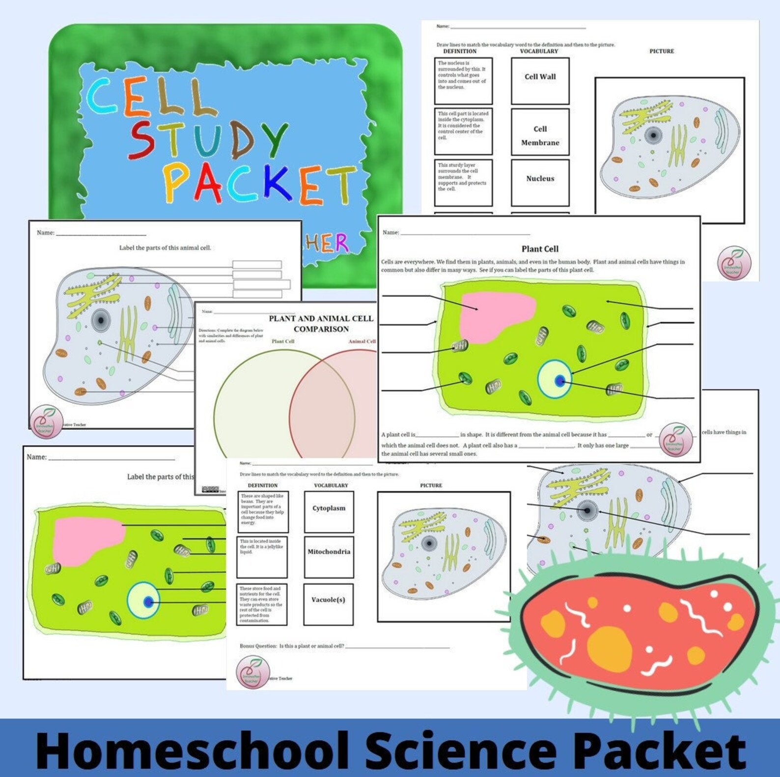 Plant and Animal Cell Study Science BUNDLE - Etsy