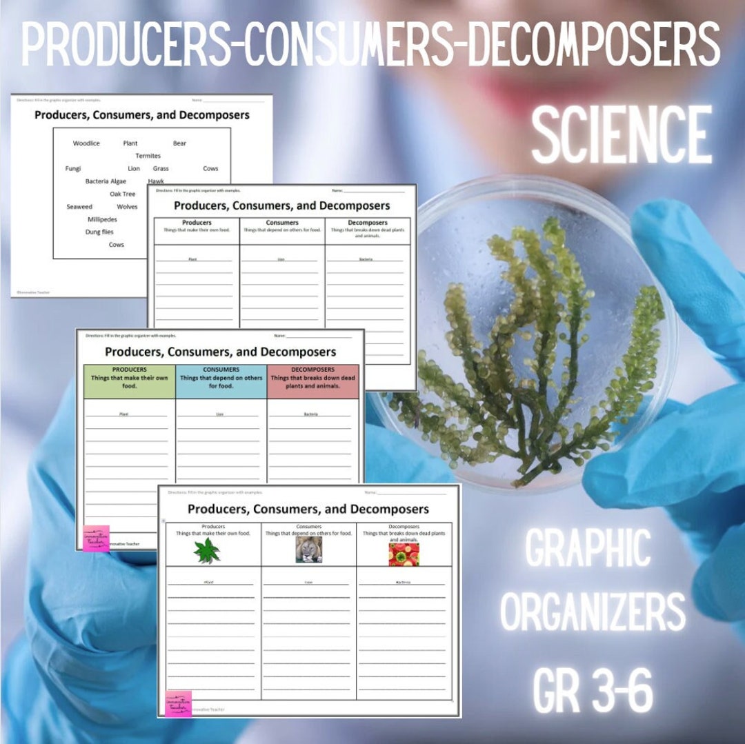 Producers Consumers And Decomposers Worksheet