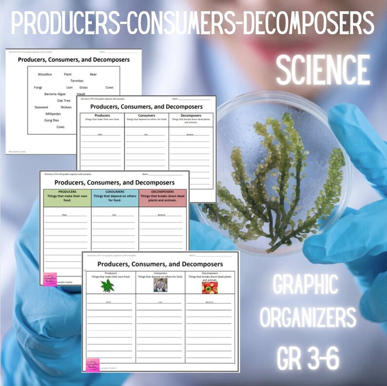 Producers Consumers Decomposers Science Graphic Organizers - Etsy