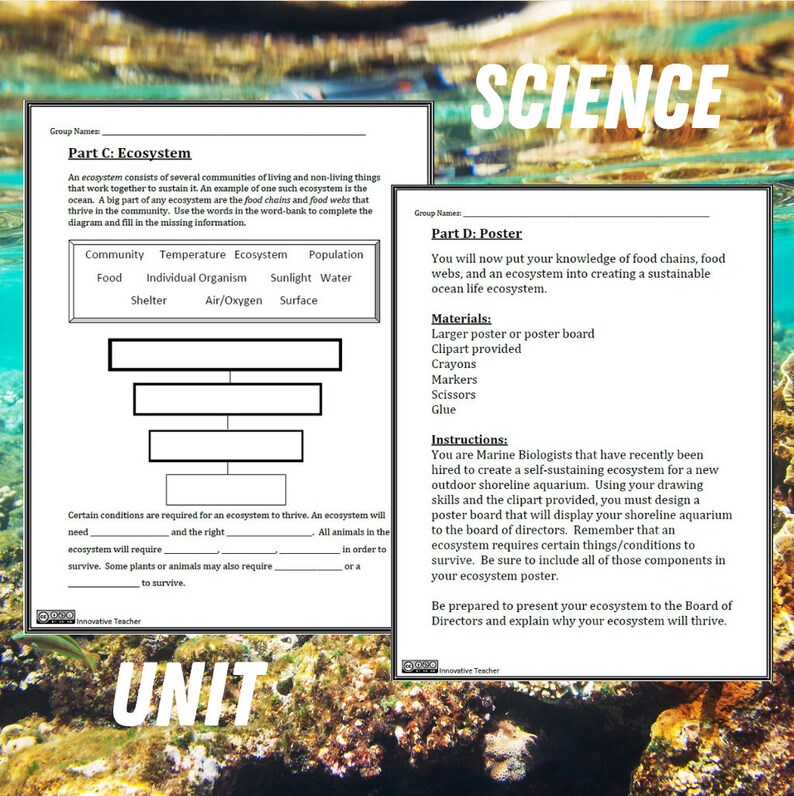 Ocean Life Ecosystem Science Unit | Project Based Learning - Etsy