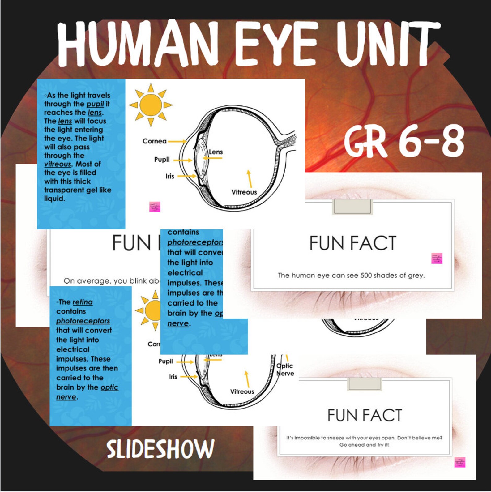 Human Eye Unit | Middle School Science - Etsy