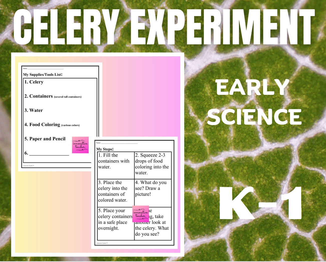 Early Science - Celery Experiment | K-1 - Etsy