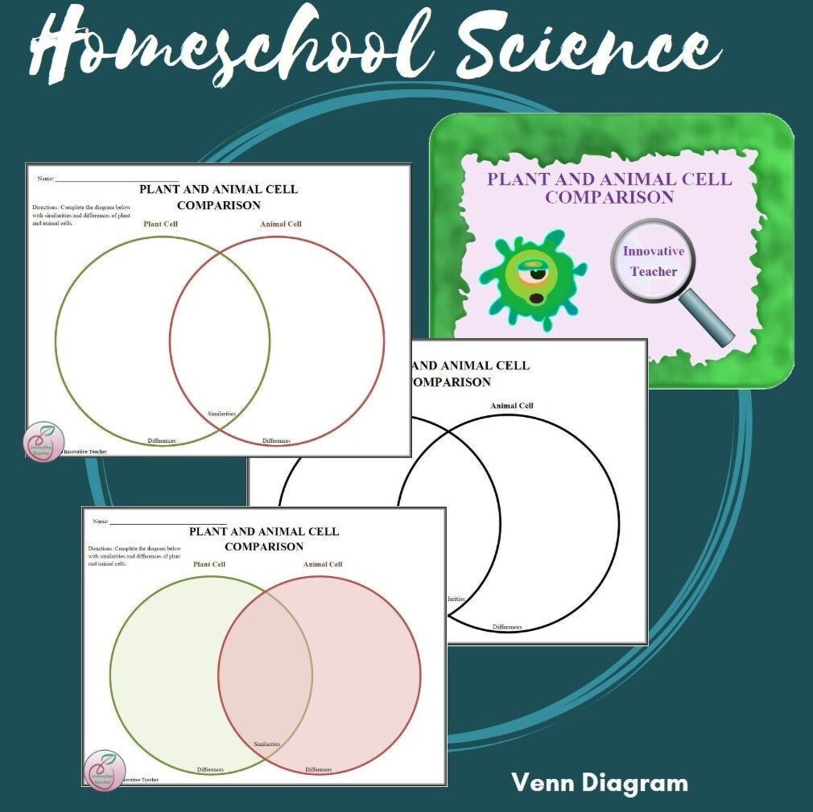 Plant and Animal Cell Science Venn Diagram Worksheets - Etsy