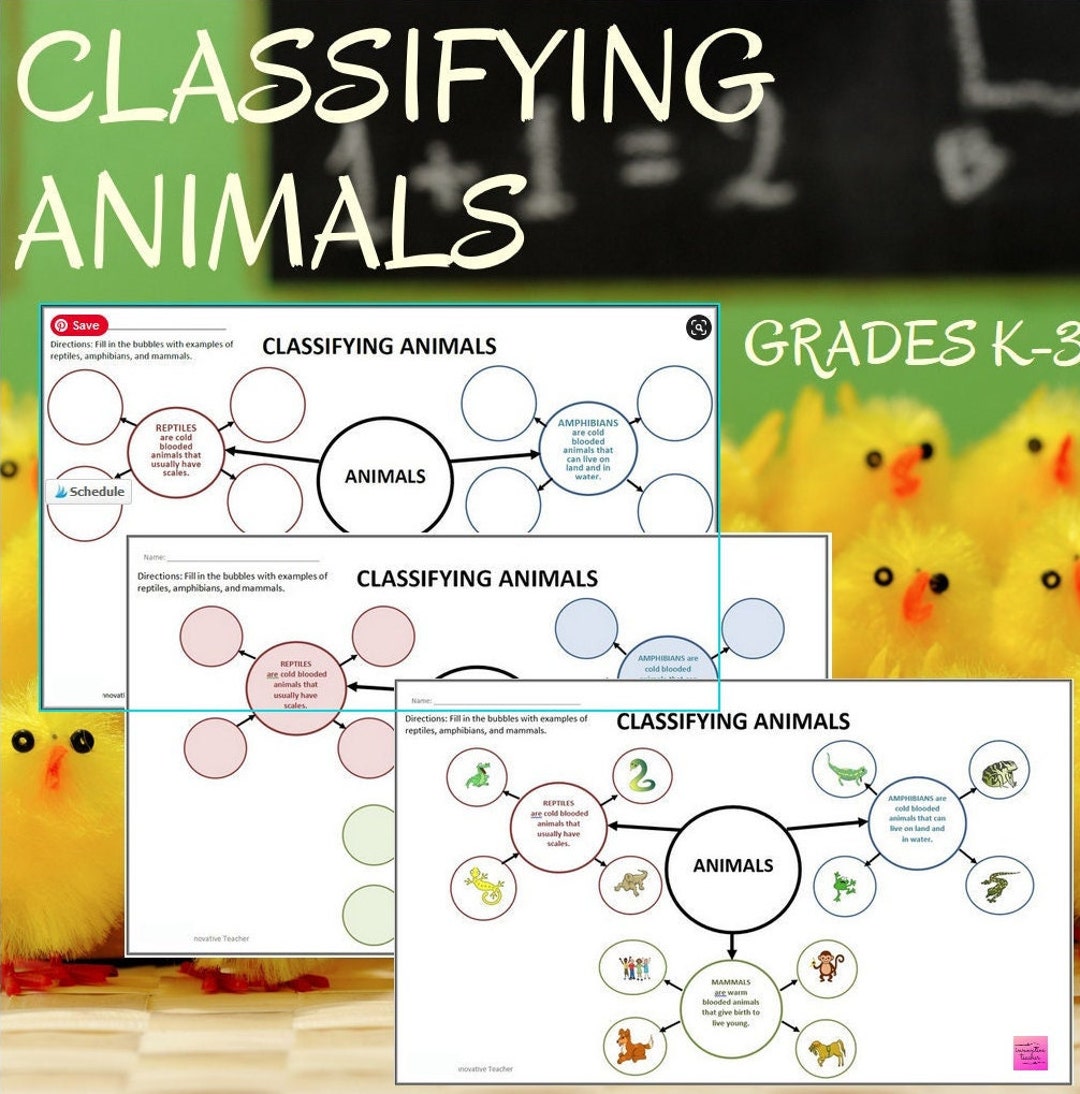 Classifying Animals Graphic Organizer - Etsy