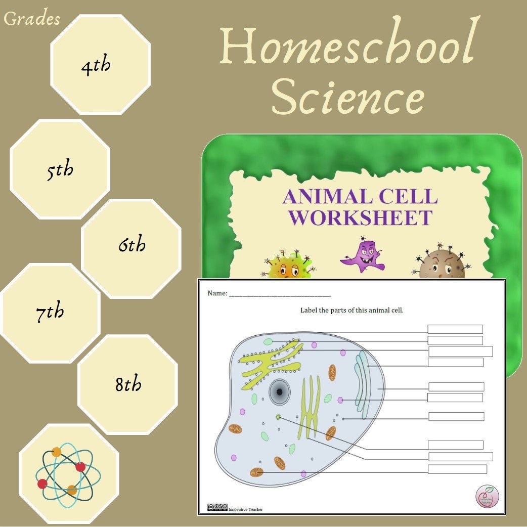 Animal Cell Science Worksheet | Etsy