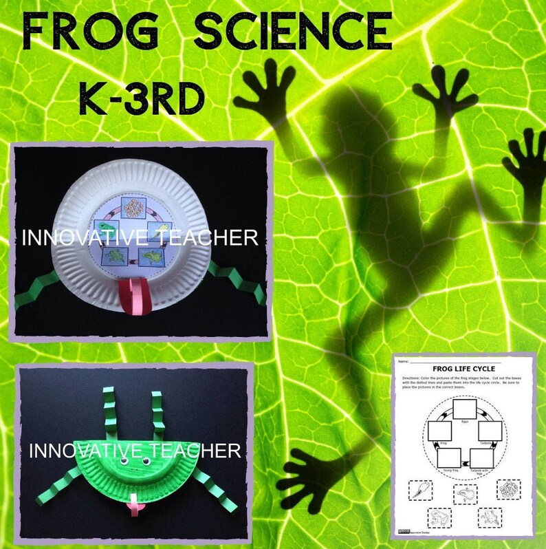 Frog Life Cycle Activity and Craft - Etsy