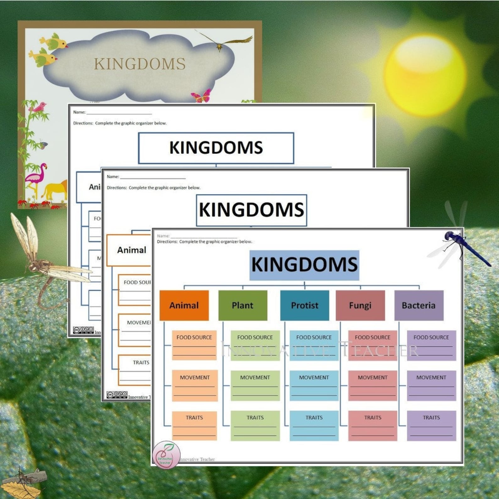 Kingdoms Graphic Organizer | Middle School Science - Etsy