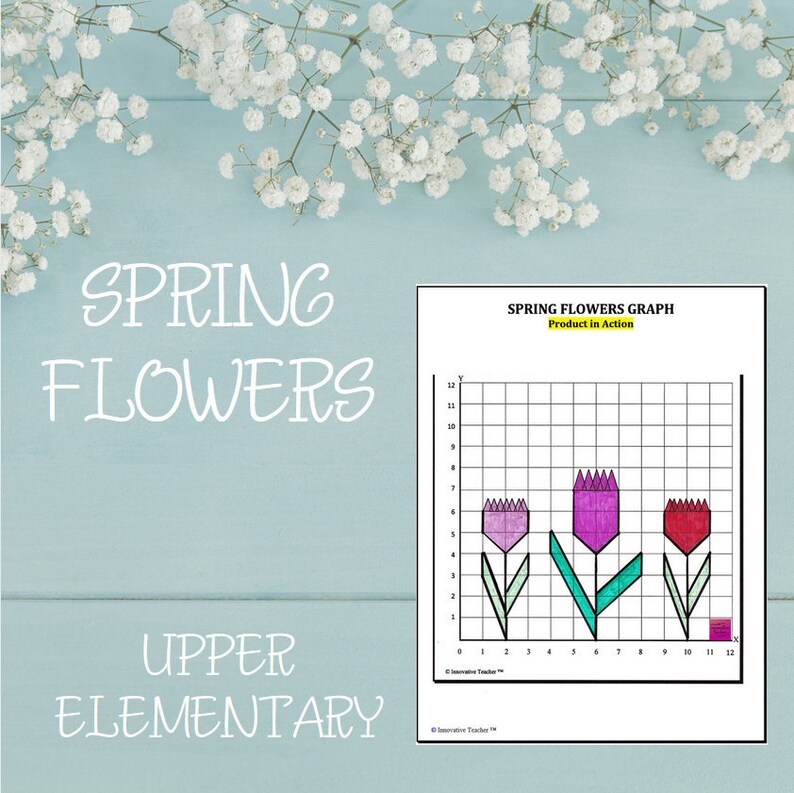 Plotting Coordinates Holiday & Seasonal Math Worksheets | Etsy