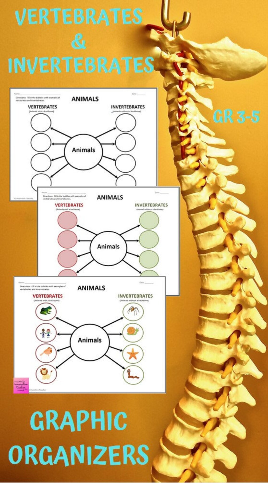 Life Sciences Graphic Organizer BUNDLE - Etsy