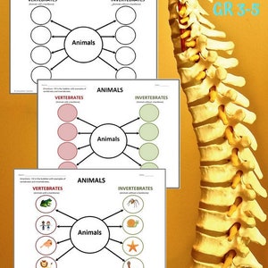 Life Sciences Graphic Organizer BUNDLE - Etsy