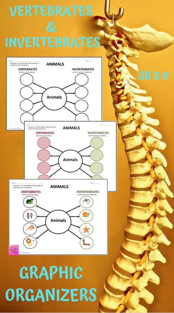 Life Sciences Graphic Organizer BUNDLE - Etsy