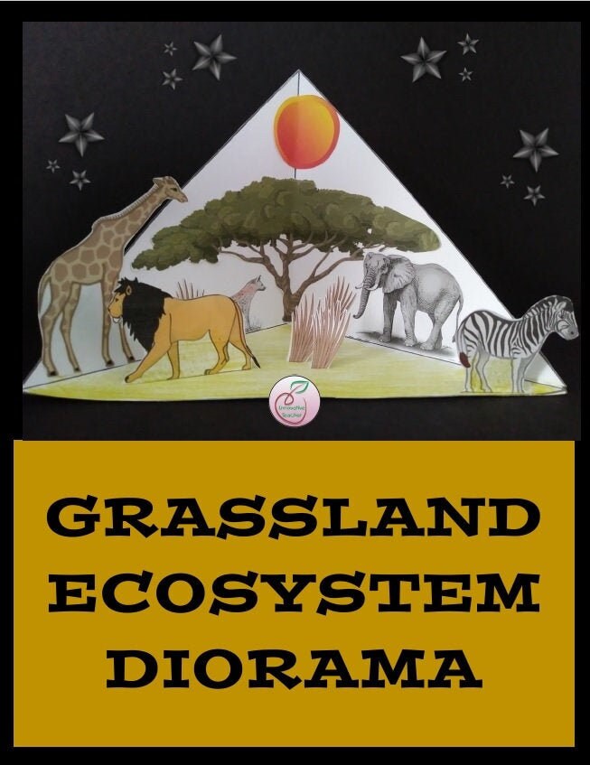 Grassland Ecosystem Diorama