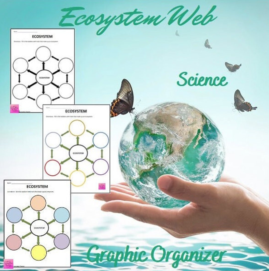 Ecosystems Web Graphic Organizer | Middles School Science - Etsy