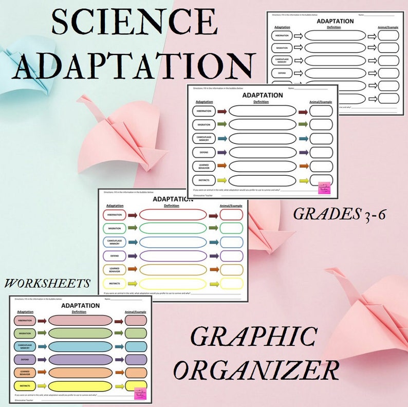 Adaptation Science Graphic Organizer - Etsy