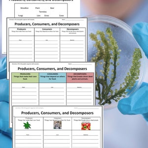 Life Sciences Graphic Organizer BUNDLE - Etsy