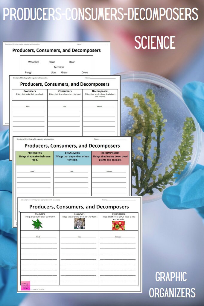 Life Sciences Graphic Organizer BUNDLE - Etsy