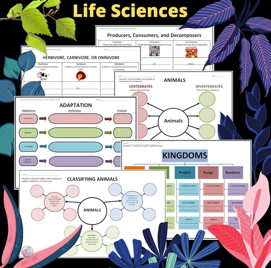 Life Sciences Graphic Organizer BUNDLE - Etsy