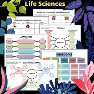 Life Sciences Graphic Organizer BUNDLE - Etsy