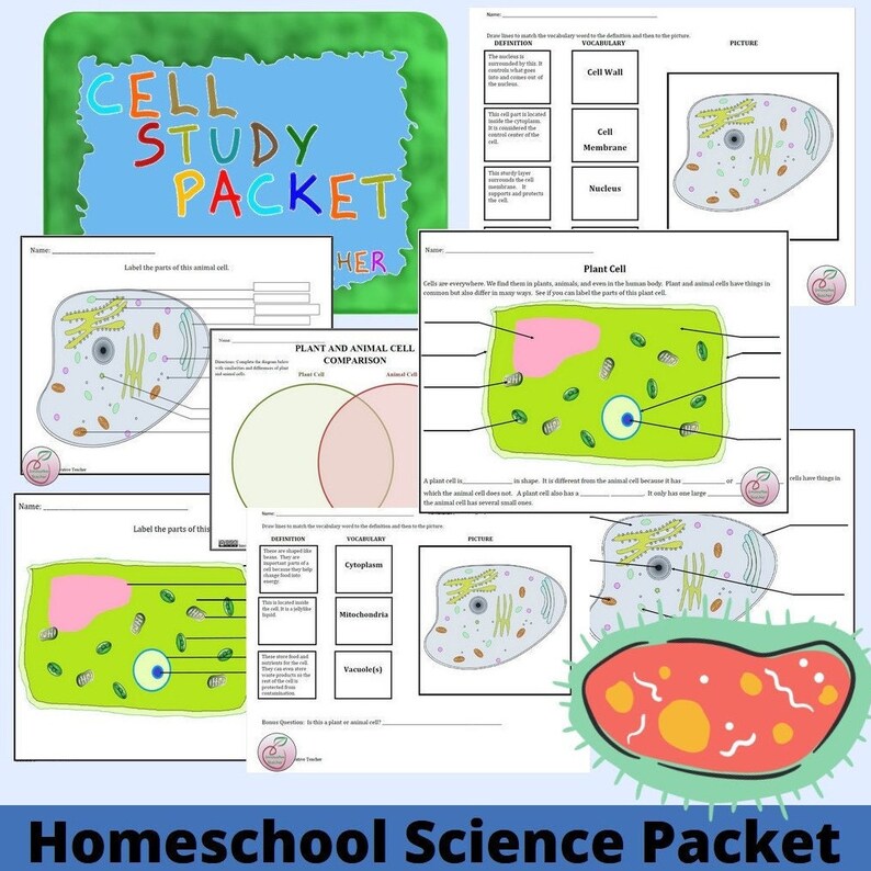 Plant and Animal Cell Study Science BUNDLE - Etsy