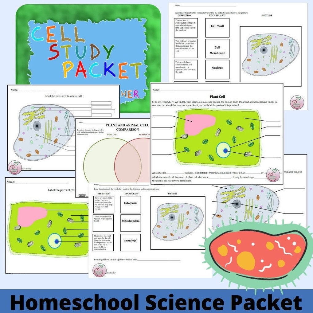 Plant and Animal Cell Study Science BUNDLE - Etsy