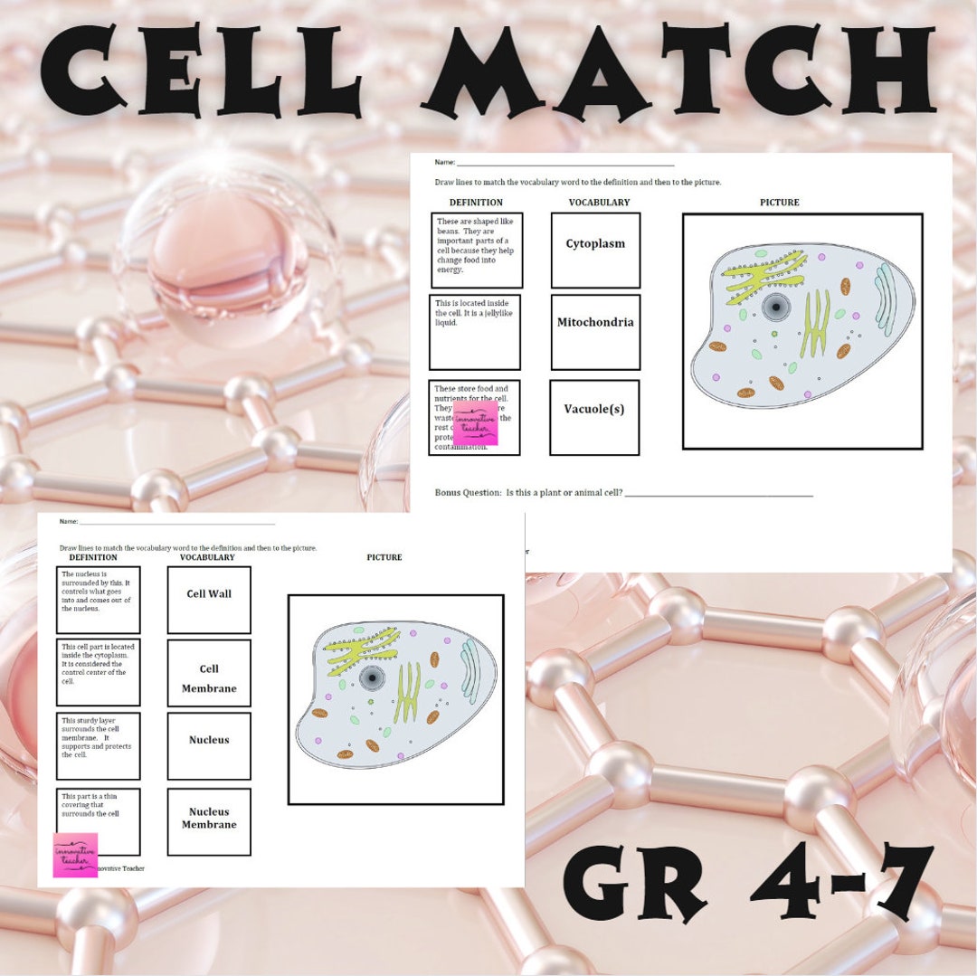Cell Match Science Worksheet - Etsy