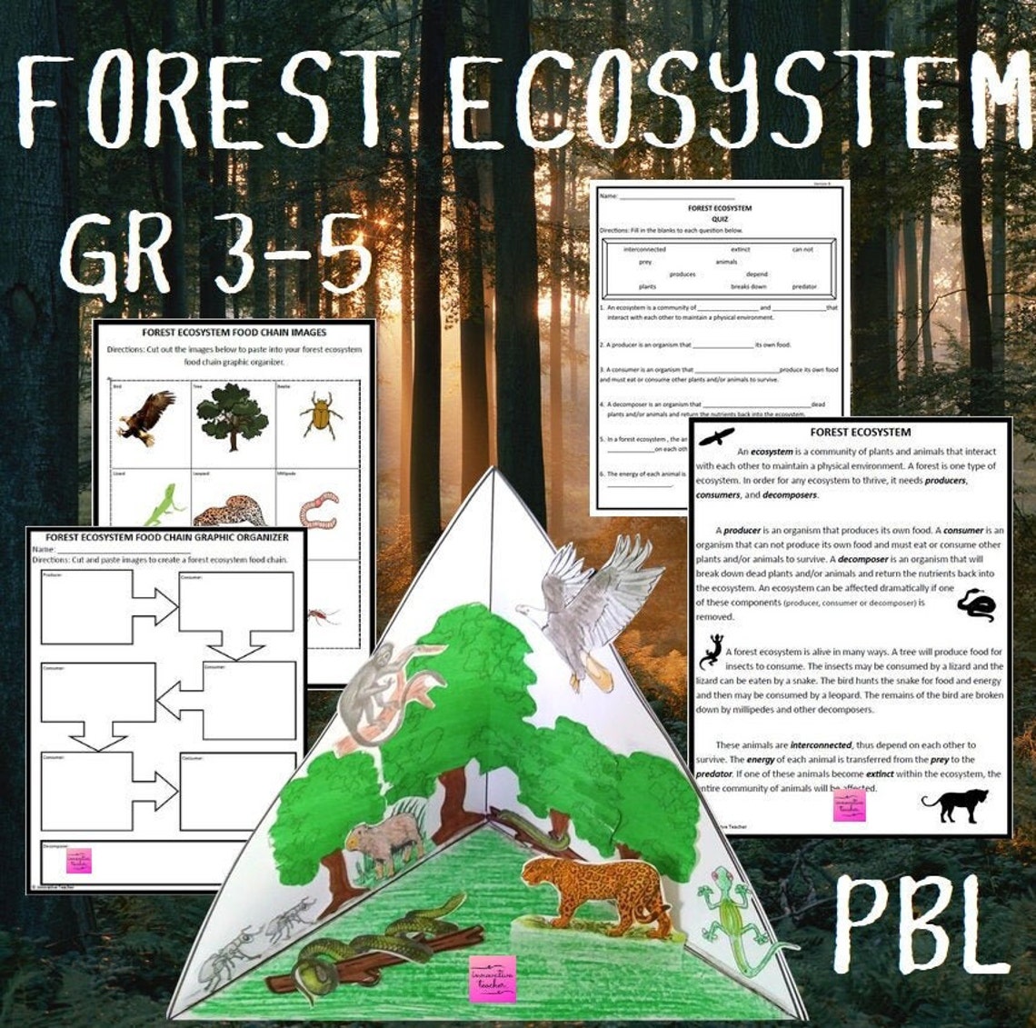 Forest Ecosystem Science Diorama Project - Etsy