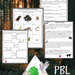 Forest Ecosystem Science Diorama Project - Etsy