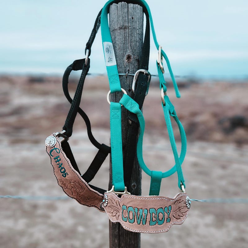 Custom Horse Halter - Etsy