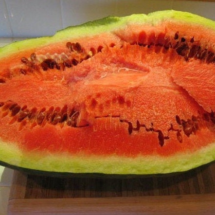 Illiniwek Red Seeded Watermelon Native American Heirloom - Etsy