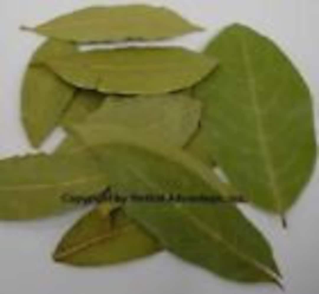 Bay Leaf Whole 1/4 LB PREMIUM QUALITY - Etsy