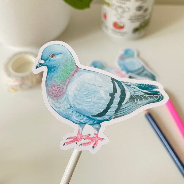 Pigeon Vinyl Decal - Etsy