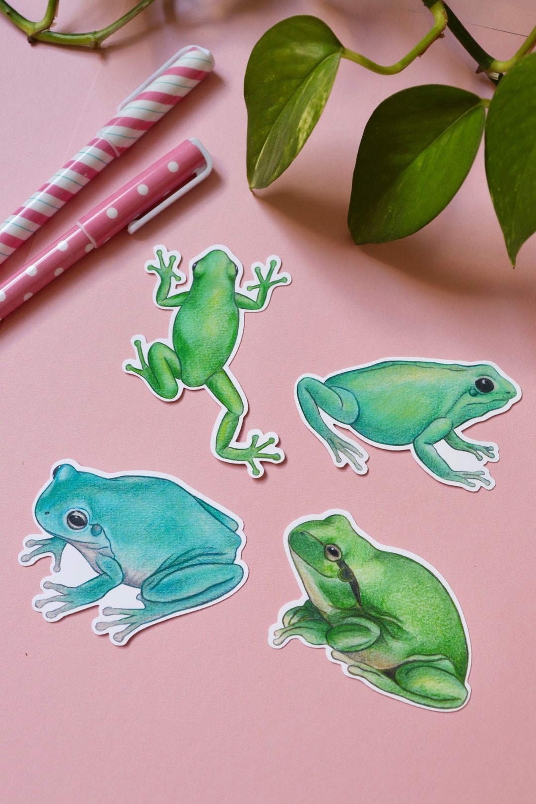 Frog Sticker Set Handmade Frog Vinyl Sticker Cute Frog Deco - Etsy