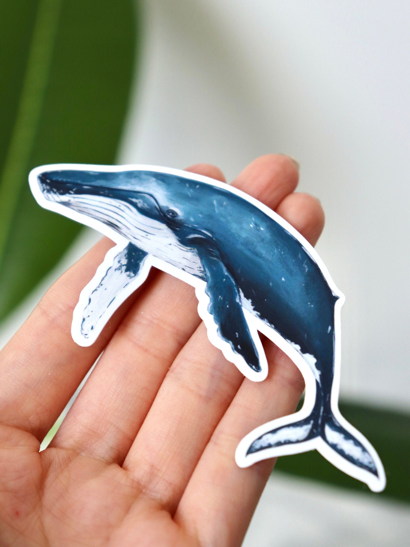 Humpback Whale Vinyl Sticker I Whale Sticker Glossy vinyl | Etsy