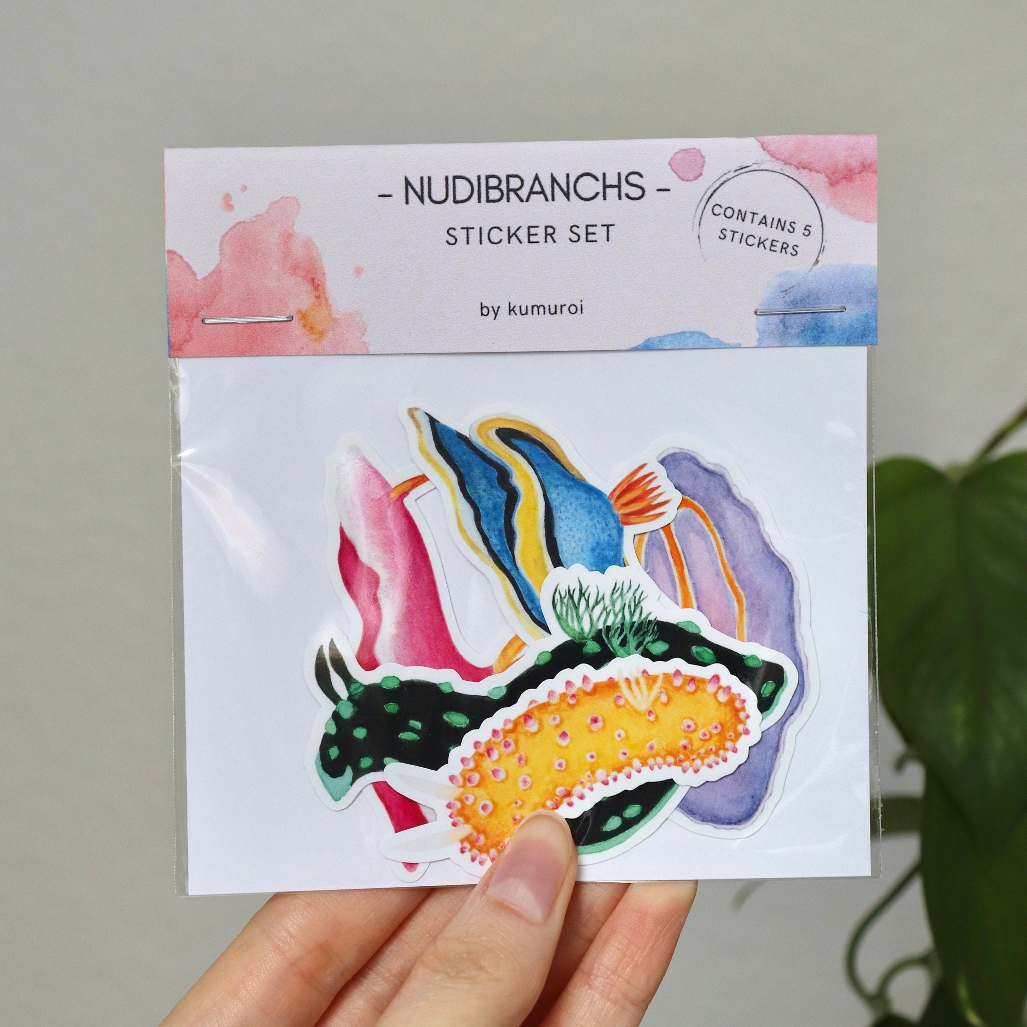 Nudibranch Sticker Set I 5 Sea Slug Vinyl Sticker Marine Life - Etsy