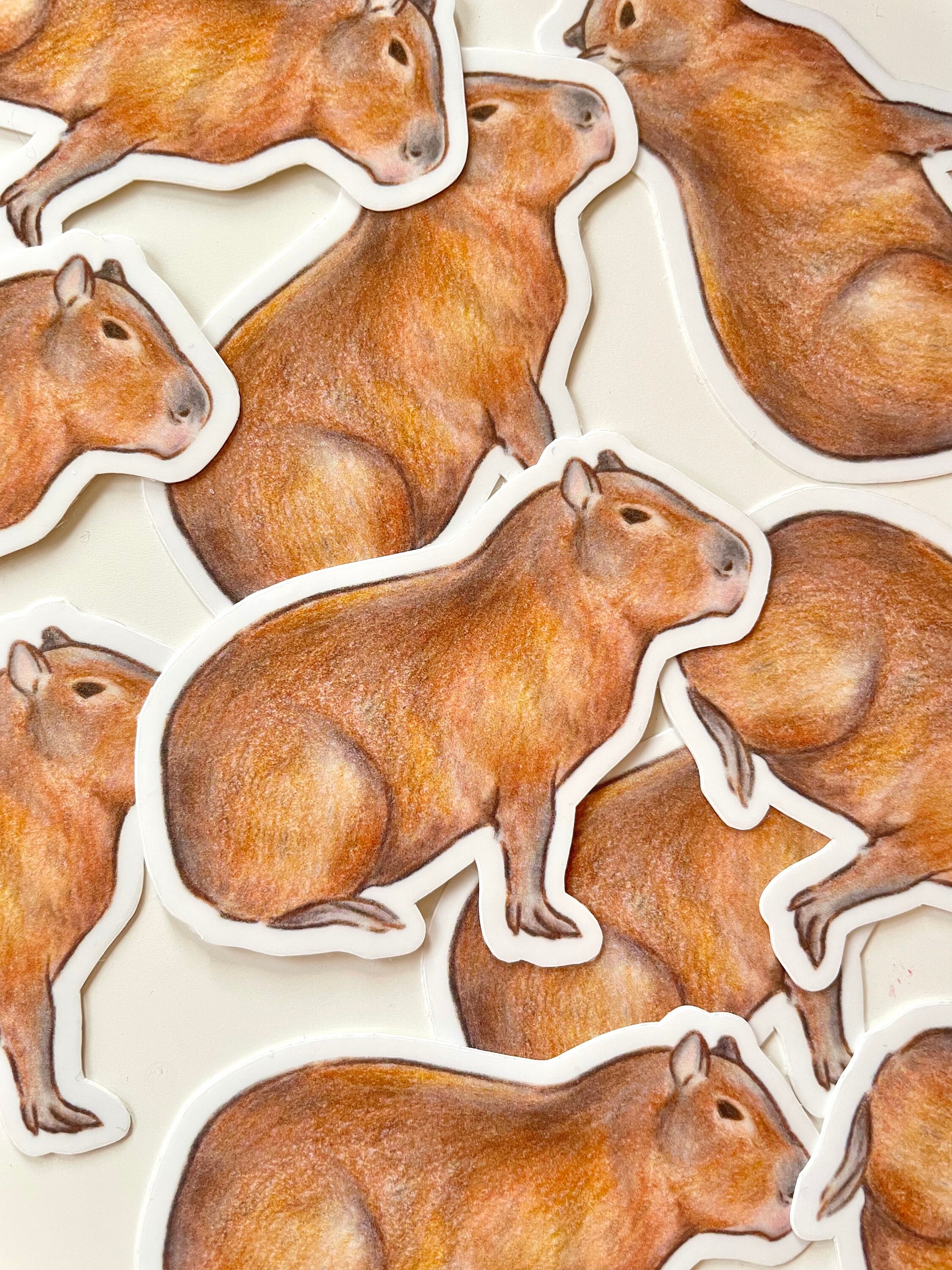 Capybara Sticker Waterproof Vinyl Sticker Cute Capybara - Etsy