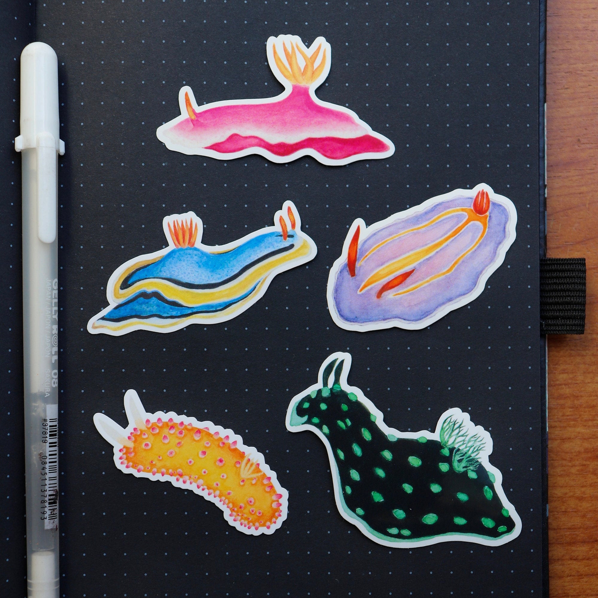 Nudibranch Sticker Set I Sea Slug Vinyl Sticker Marine Life | Etsy