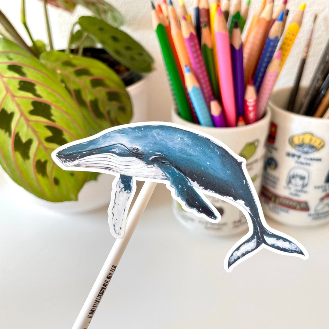Humpback Whale Sticker Cute Whale Laptop Sticker Animal - Etsy